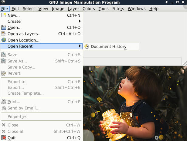 恢复Windows | Stellar上的GIMP文件 - ob欧宝体育登陆